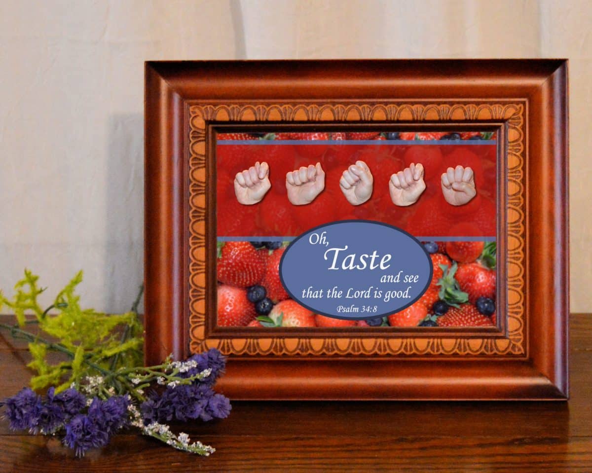 What does Taste and See that the Lord is good mean? Psalm 34:8 - Master ...