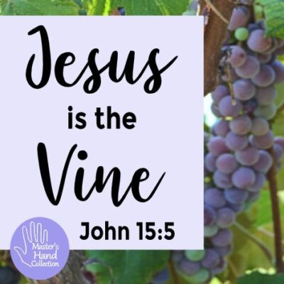 Jesus is the Vine A John 15:5 Devotional - Master's Hand Collection