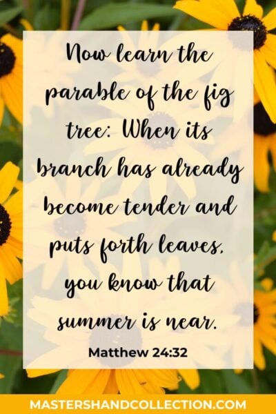 Summer is Near Matthew 24:32 Devotional - Master's Hand Collection