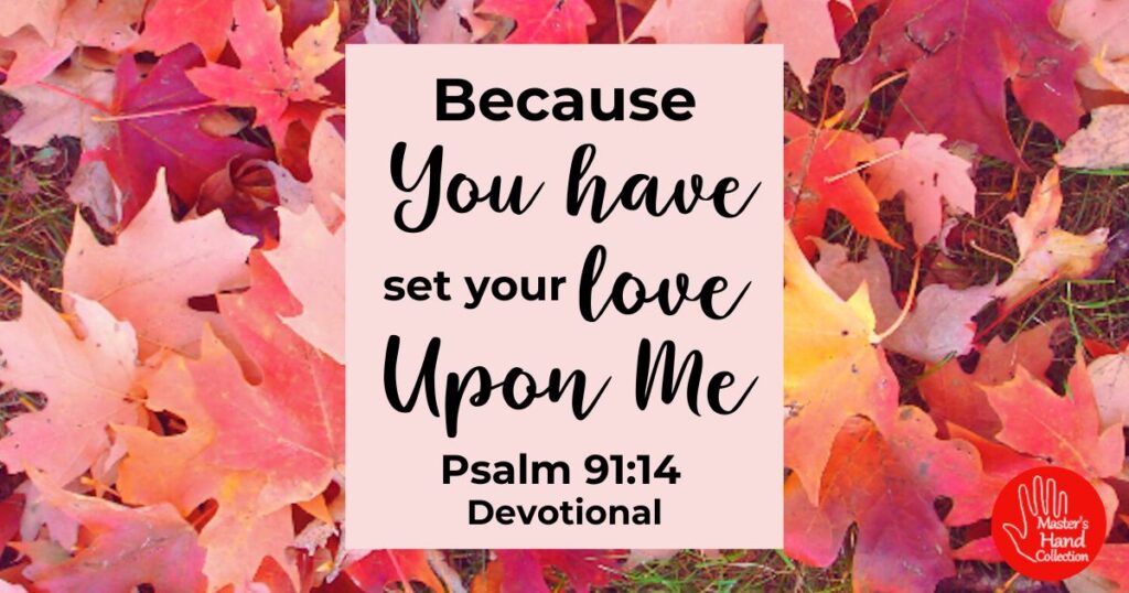 How to Rejoice in the Lord Always Habakkuk 3:17-19 Devotional - Master ...