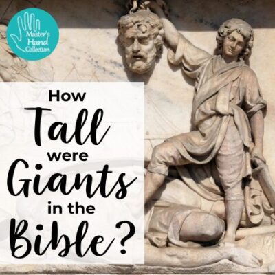 How Tall Were Giants in the Bible? Exploring Biblical Height - Master's ...